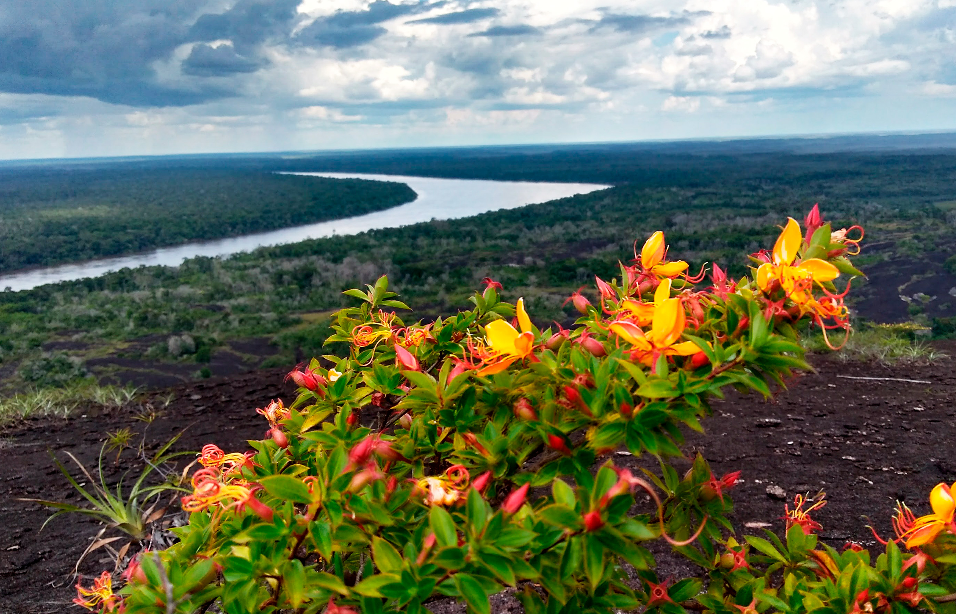 rio_inirida-andrea-prieto | Asociación Ambiente y Sociedad